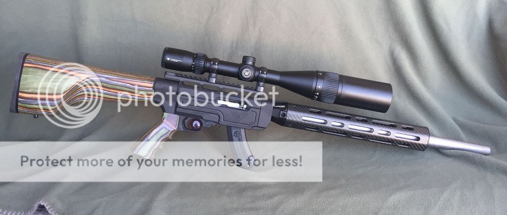 Ruger SR22(Nordic) Target Rifle Build | Rimfire Central Firearm Forum