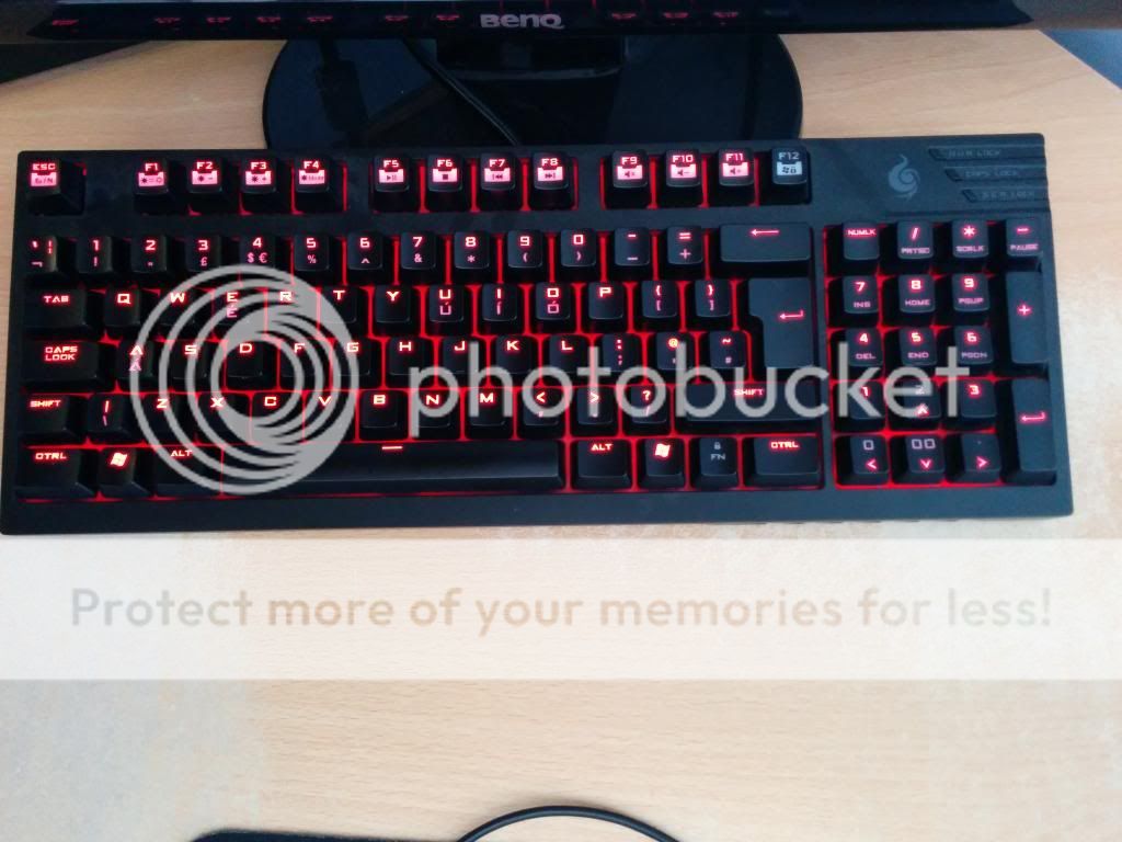 SE England - Cm storm quickfire TK RED switches keyboard | Reptile Forums